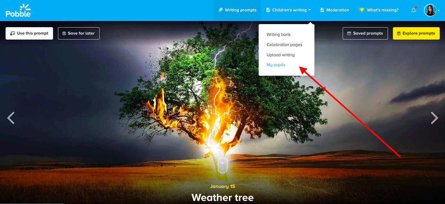 How to enter Pobble's Writing Competition: All the Write Ingredients